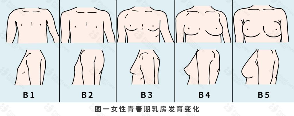 孩子穿上胸罩变成女孩子子图标