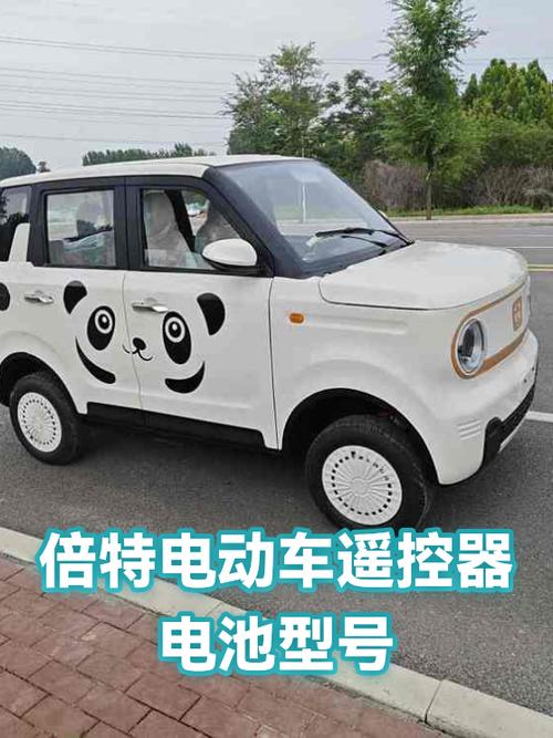 电动车遥控器电池型号是什么图标