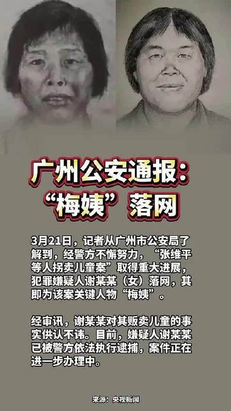 2026年梅姨出狱了吗视频图标
