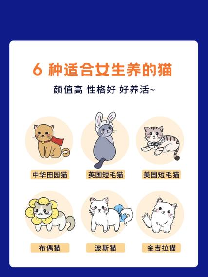 新手养猫APP图标