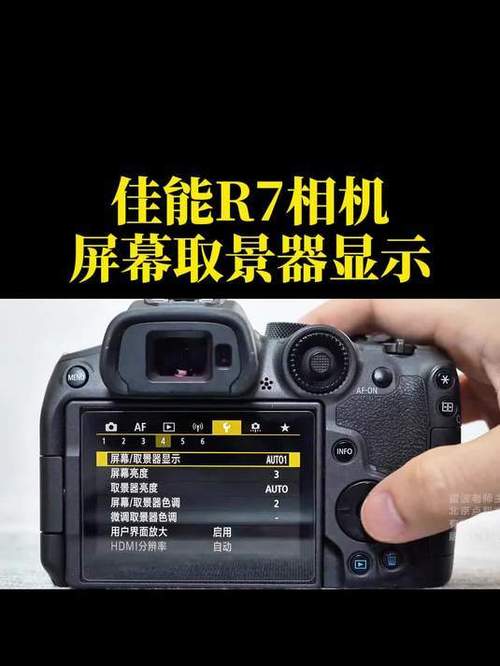佳能相机屏幕显示拍摄