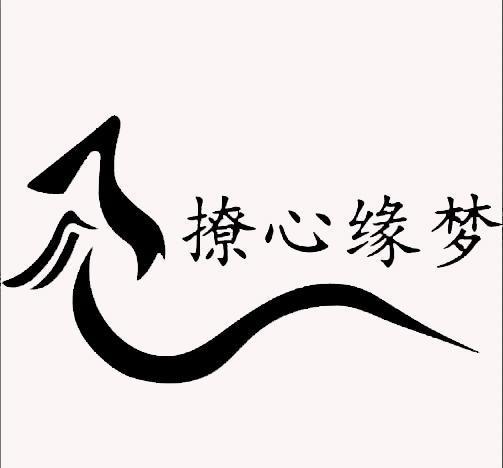 心缘是什么意思图标