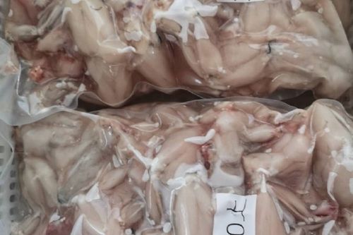 牛蛙肉多少钱一斤图标