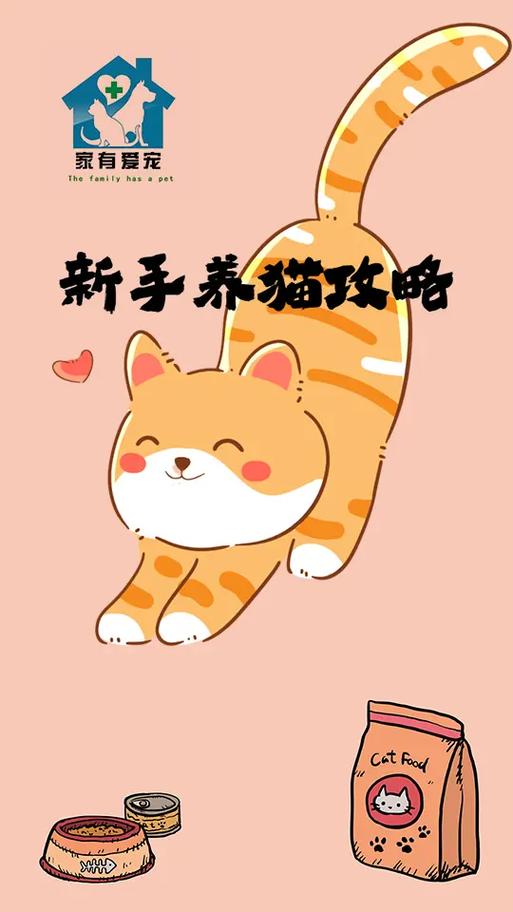 宠物猫怎么喂养图标