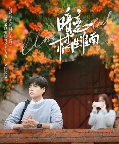 《暗恋橘生淮南》电视剧图标