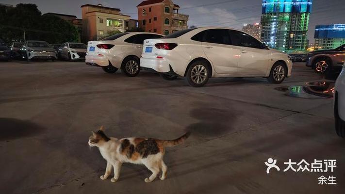 小猫停车怎么自动扣费图标