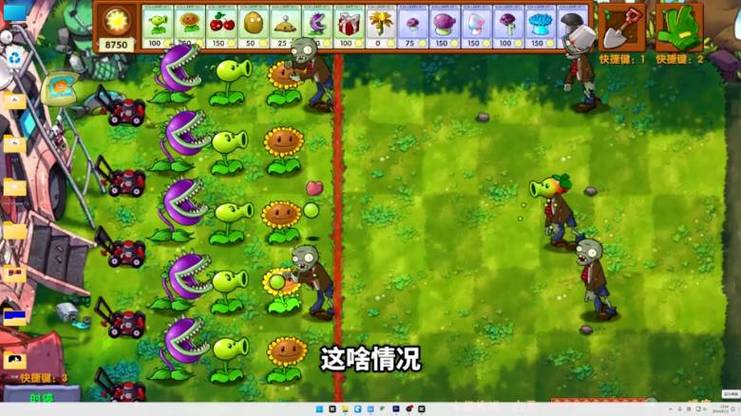 公狒狒玩植物大战僵尸图标