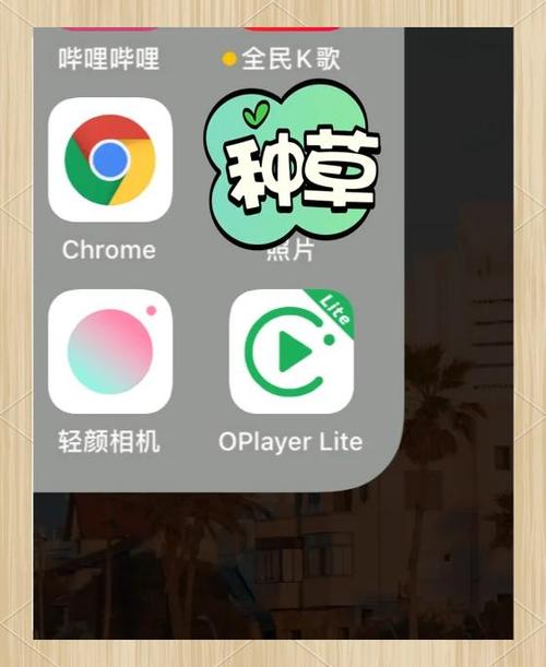 oplayerLite官网下载图标