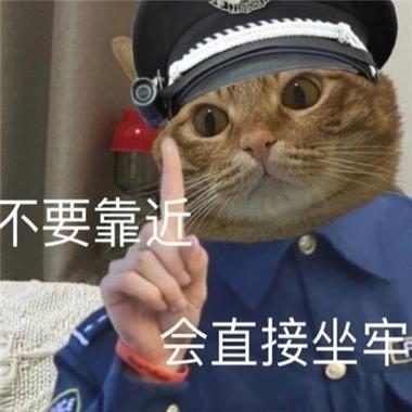 小猫咪警察表情包图标