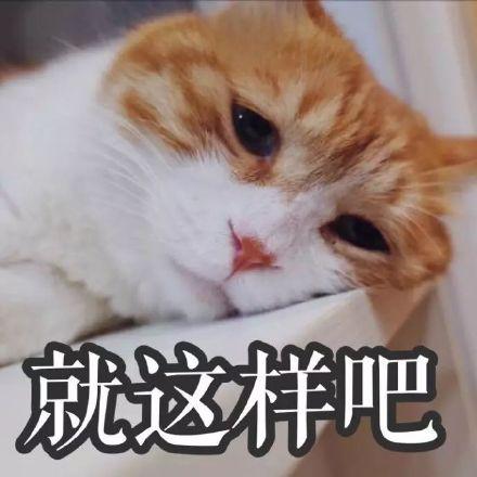 《就这样》完整版