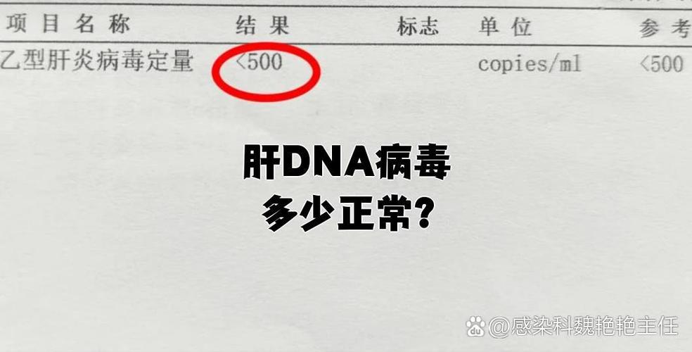 dna乙肝图标