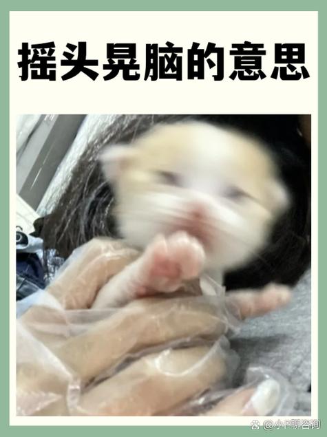 你晃我是什么意思图标