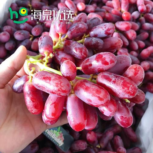欧米伽红宝石金手指图标