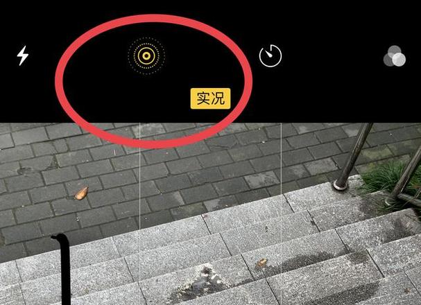 ipad拍照有实况吗图标