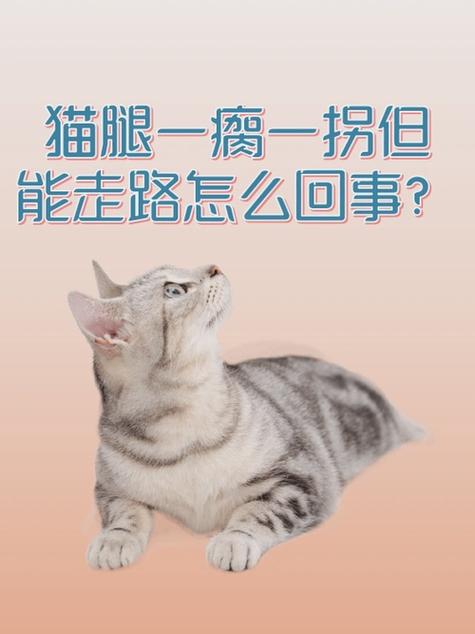 猫前腿无力 走路不稳图标