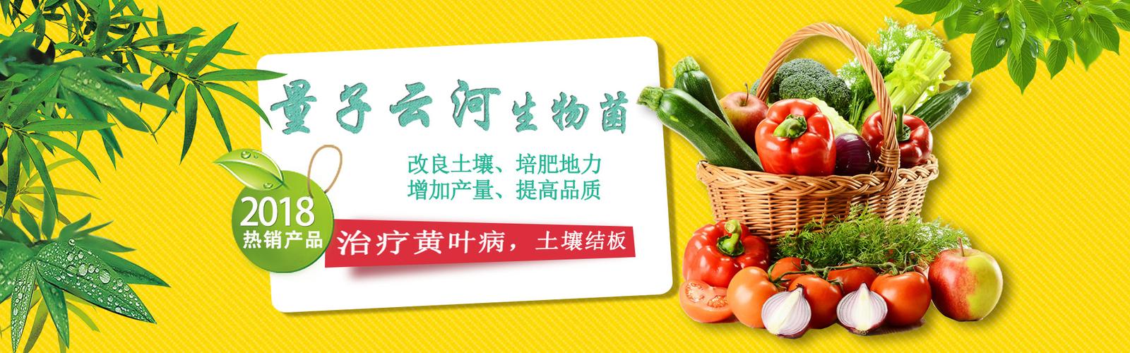 量子云河生物科技有限公司图标