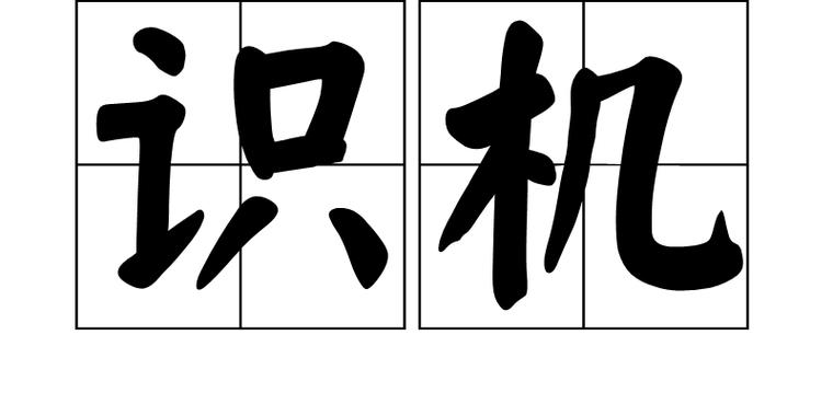 拍照显示手机型号图标