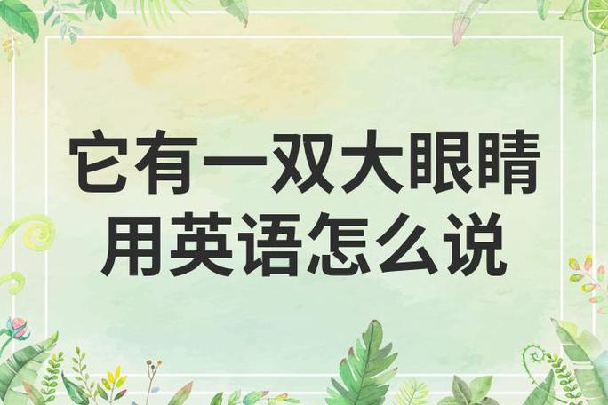 网友说大眼是什么意思截图