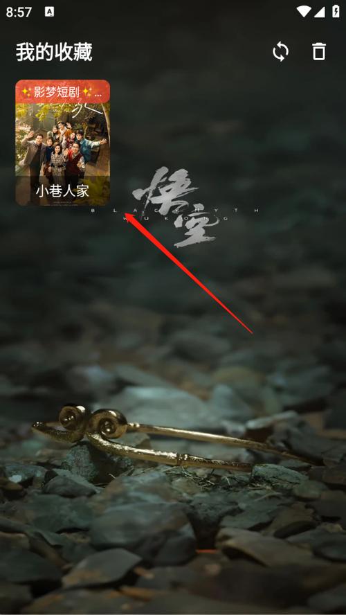 拾光短剧TV版app图标