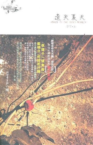 遗失的夏天截图