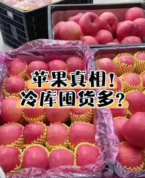 苹果在冷库温度是多少图标