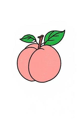 蜜桃漫画网漫首页图标