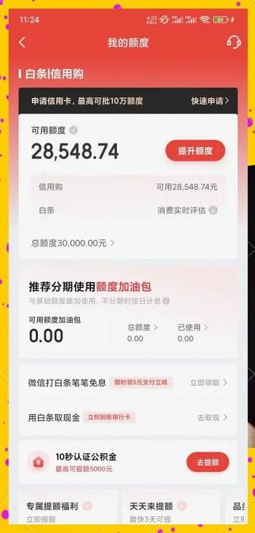 京东金条还款金额为什么会长图标
