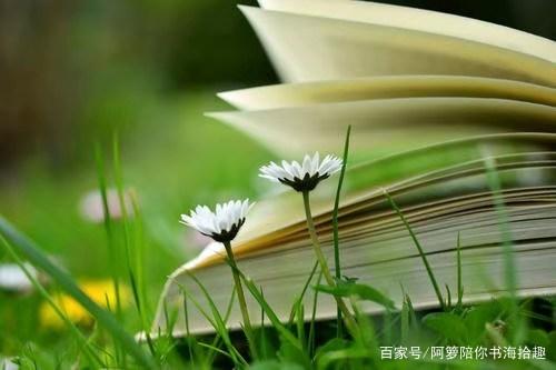 图书阅读器图标