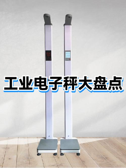 工业用电子秤10大品牌截图