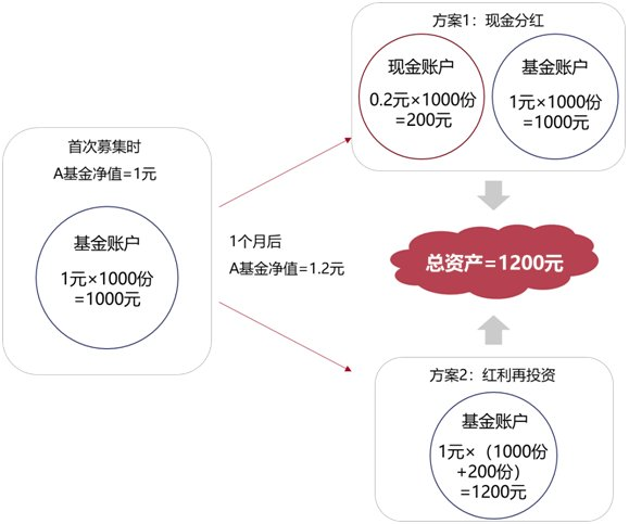 红利再投资好还是现金红利好图标