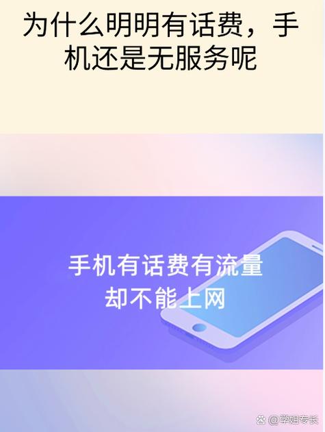苹果为什么有话费但是流量不能用截图