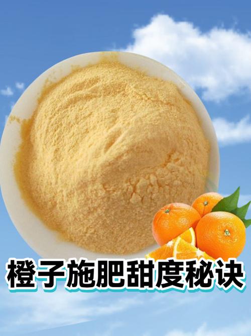 橙子含糖量多少图标