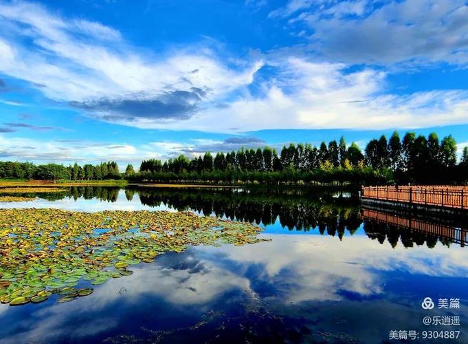 湿地的概念图标