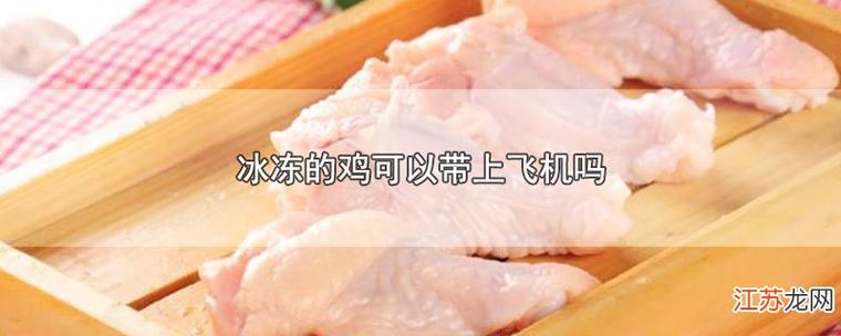 冰冻的东西能不能带上飞机截图