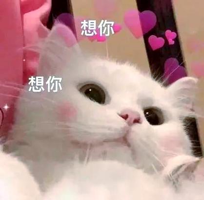 情侣撒娇表情包图标
