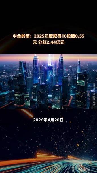 中金岭南分红