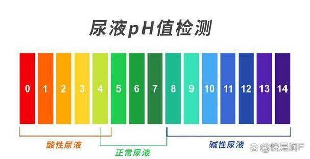 网络上说的PH是什么图标