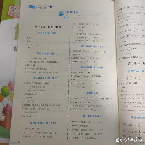 小练六下答案免费抄图标