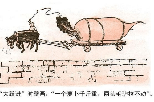 一颗萝卜作者图标