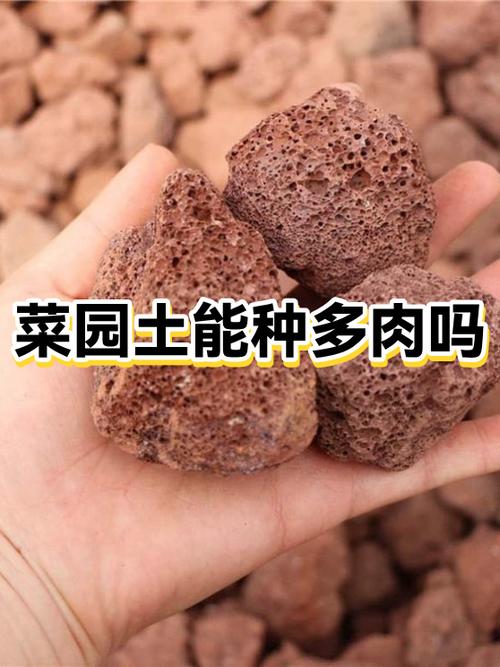 多肉可以用泥土种吗图标
