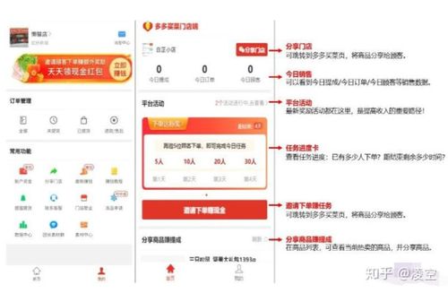 拼多多开团和拼团有什么区别图标