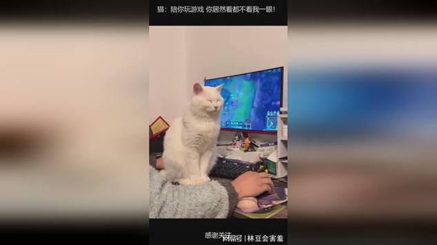 男生愿意陪女生打游戏图标