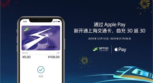 苹果手机上海交通卡图标