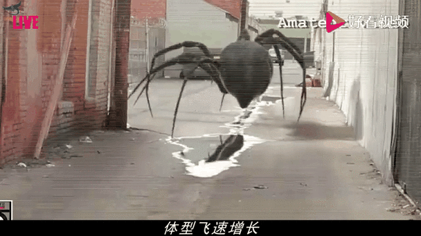 变异蜘蛛图标