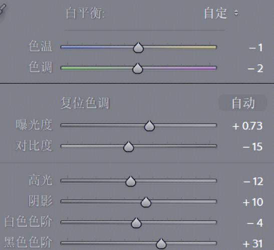 相机调色调的参数图标