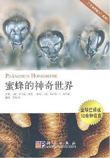 蜜蜂的神奇世界截图
