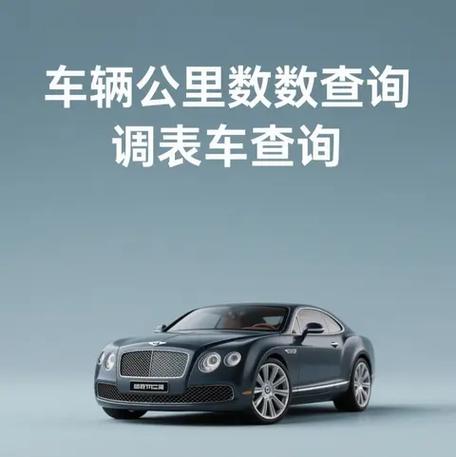 怎么查公里数截图