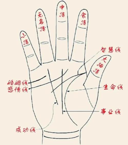手掌有指纹的手相截图