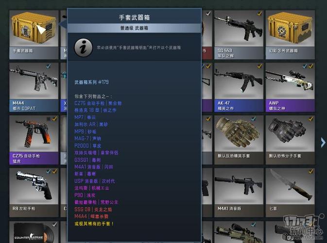 csgo佳佳库存截图