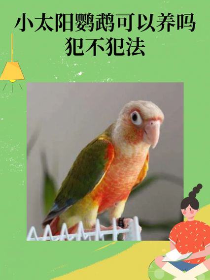 买小太阳鹦鹉合法不图标